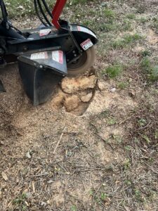 Stump Grinding Cost: How Much Does it Cost Per Inch?